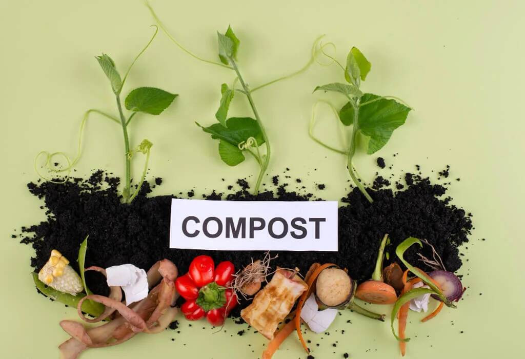 What is Compostable? Understanding Compostable Materials and Their ...